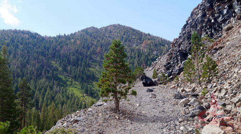 Hartley Springs Campground | Free Camping Near June and Mammoth Lakes ...