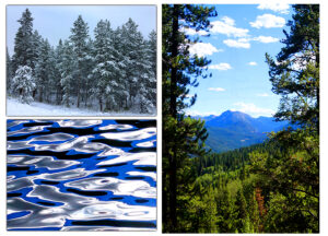 Free Camping On Homestake Road | Holy Cross Wilderness - The Lost ...