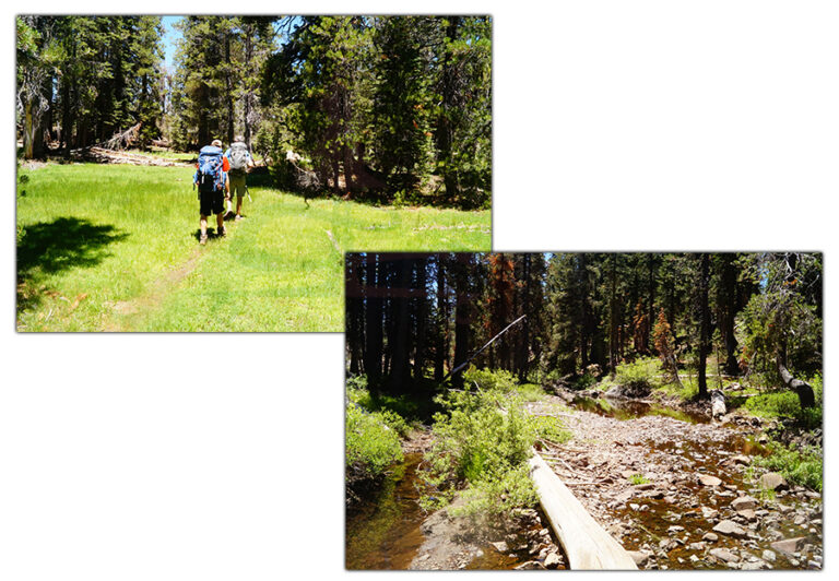 Backpacking Grouse Ridge Loop | Tahoe National Forest - The Lost ...