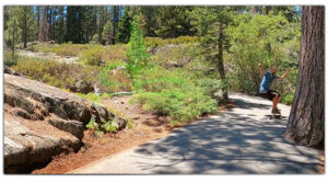 Longboarding Frazier Falls Trail | Plumas National Forest - The Lost ...