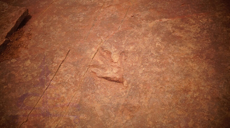 Dinosaur Trackway Trail | Beautiful Scenery and Real Dino Footprints ...