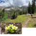 Hiking the Zirkel Circle | Amazing Scenery On Gilpin Lake Loop - The ...