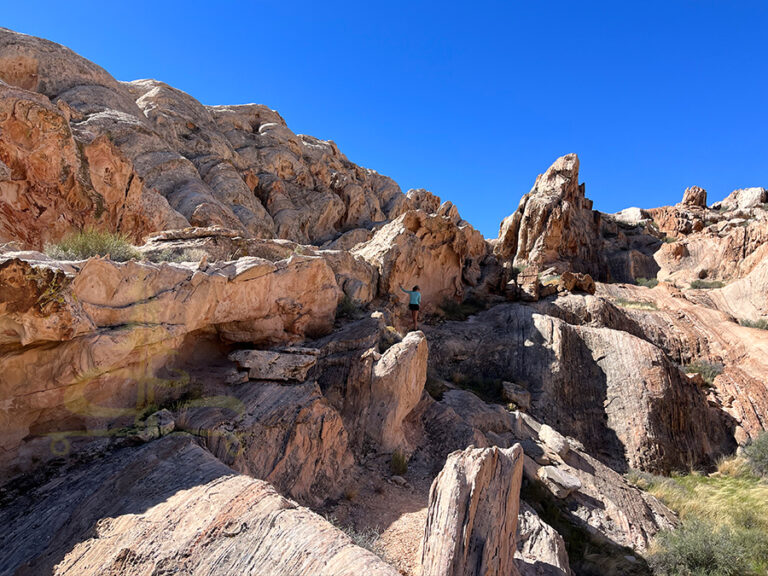 What We Love About Gold Butte National Monument - The Lost Longboarder