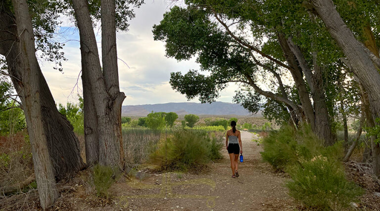 Free Camping at Upper Pahranagat Lake | National Wildlife Refuge - The ...
