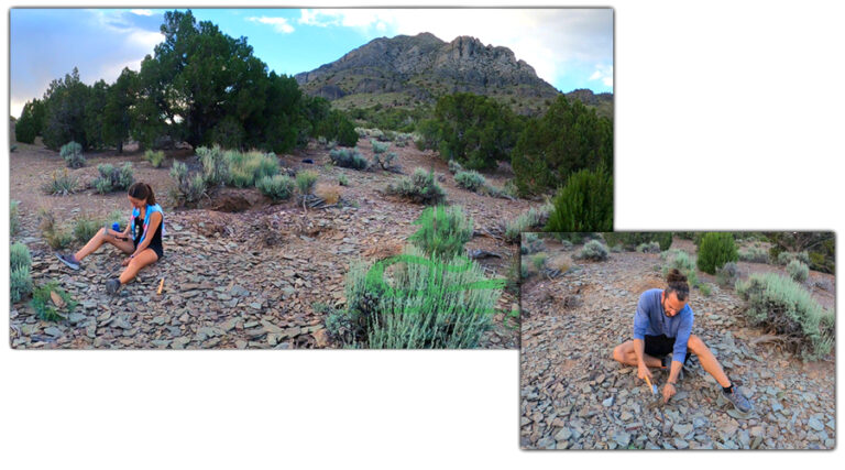 Oak Springs Trilobite Fossil Site | Find Your Own Fossils - The Lost ...
